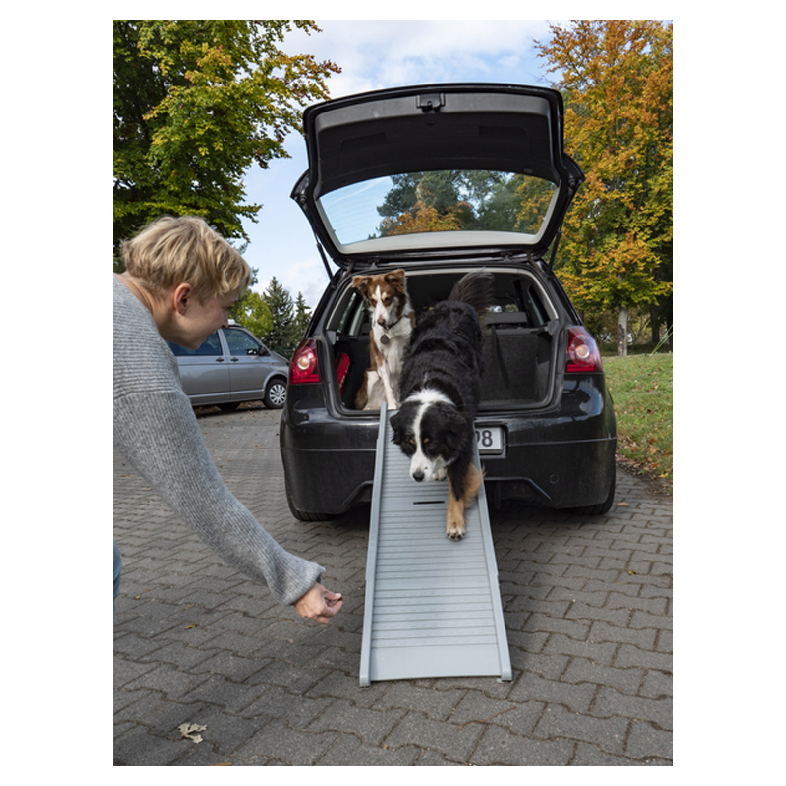 Hunderampe Emma belastbar bis 40kg Tiereinstiegshilfe für PKW Busse Va
